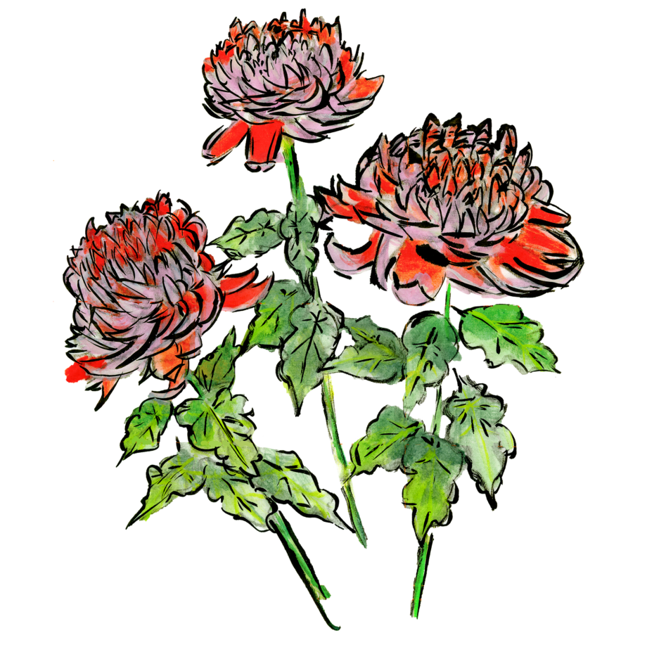 Secret Garden Map – Kent Kondo Portfolio